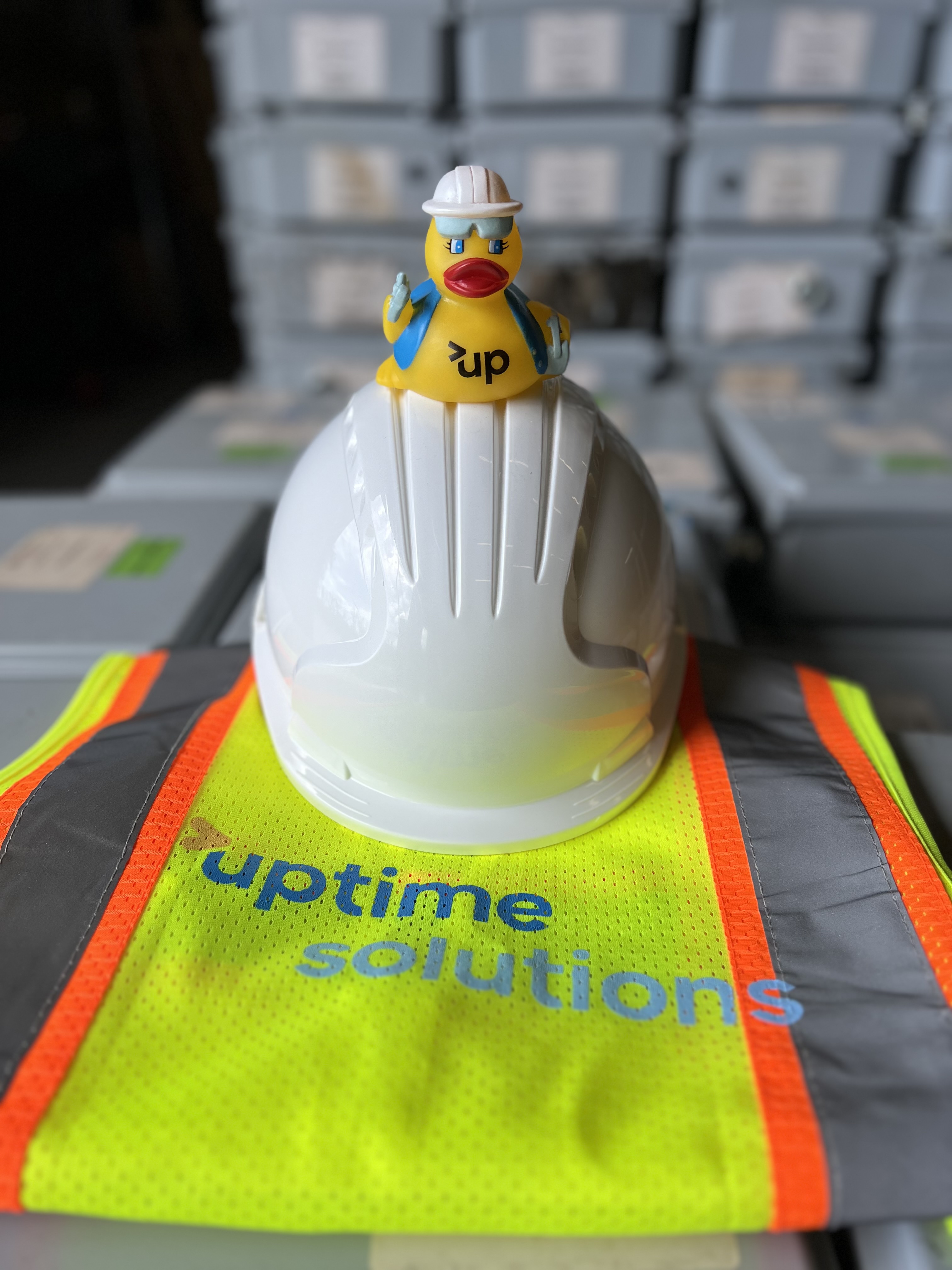 Meet the UpTime UpDuck